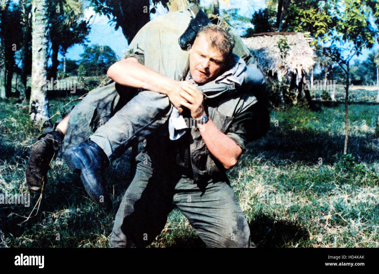 Capullo De Brian Dennehy
