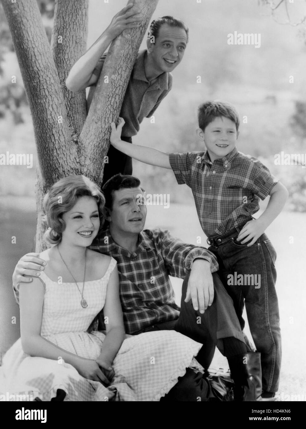 THE ANDY GRIFFITH SHOW, (clockwise from top left): Don Knotts, Ron ...