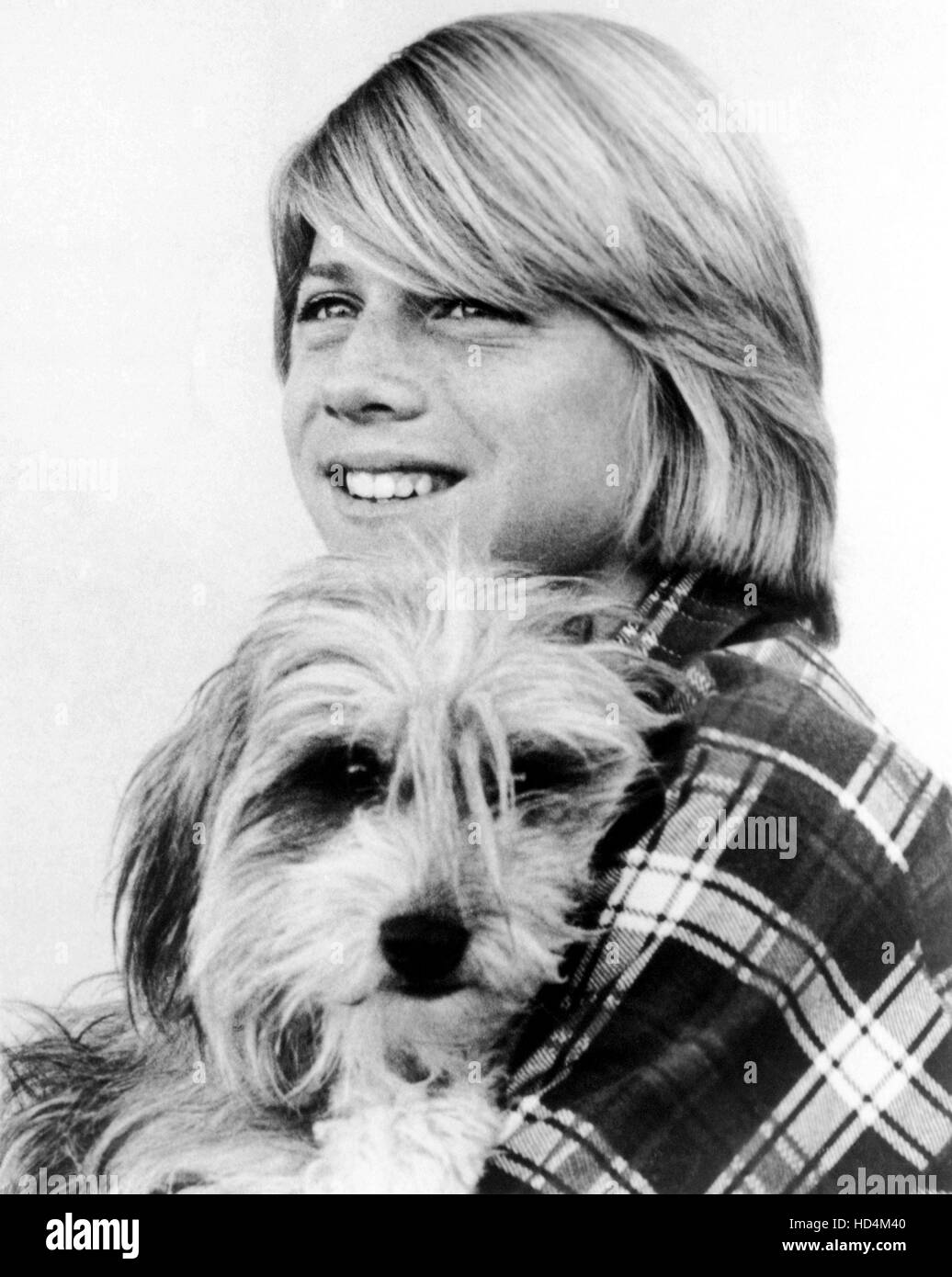 APPLE'S WAY, Vincent Van Patten, 1974-75 Stock Photo - Alamy