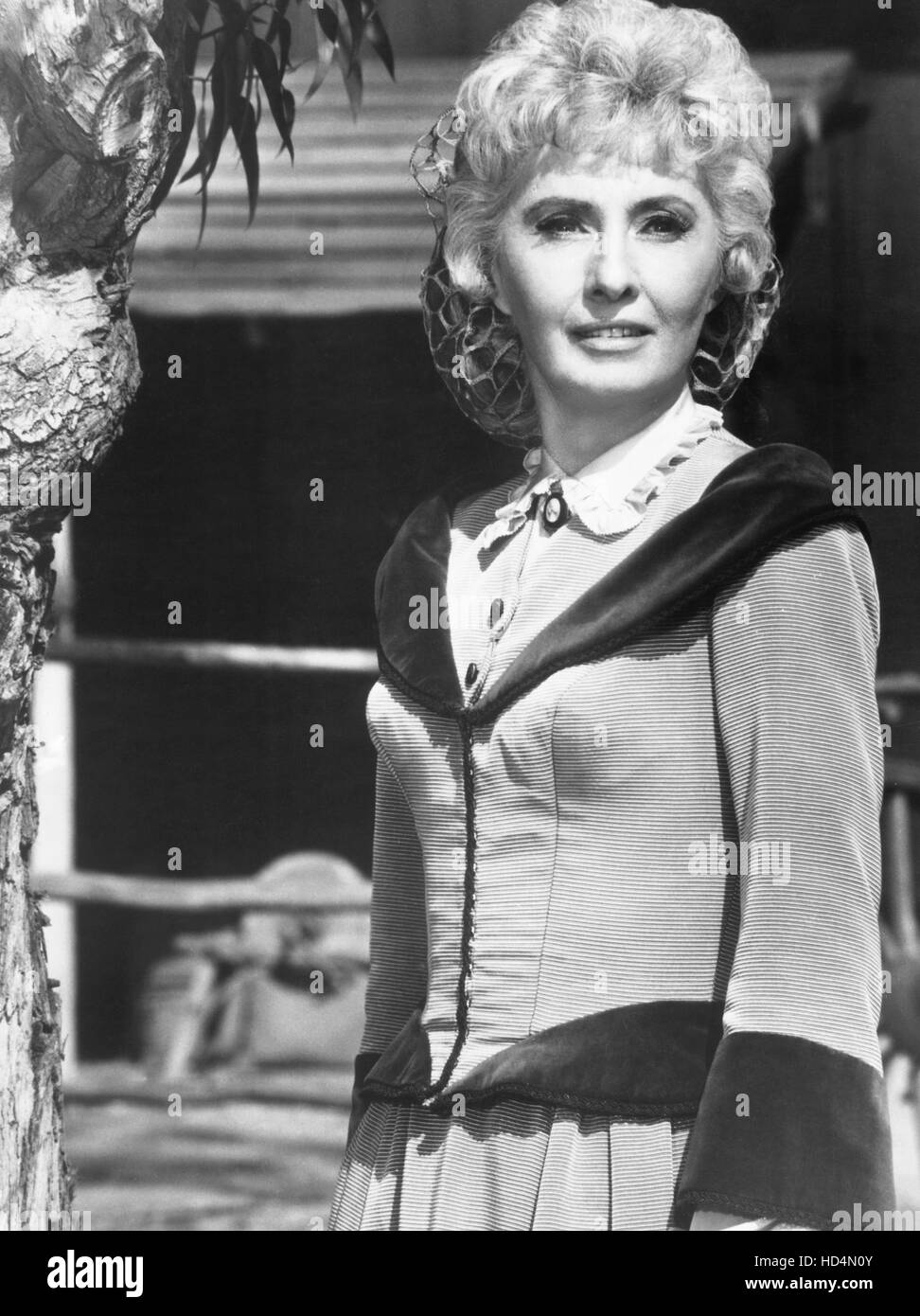 THE BIG VALLEY, Barbara Stanwyck, 1965-1969 Stock Photo - Alamy