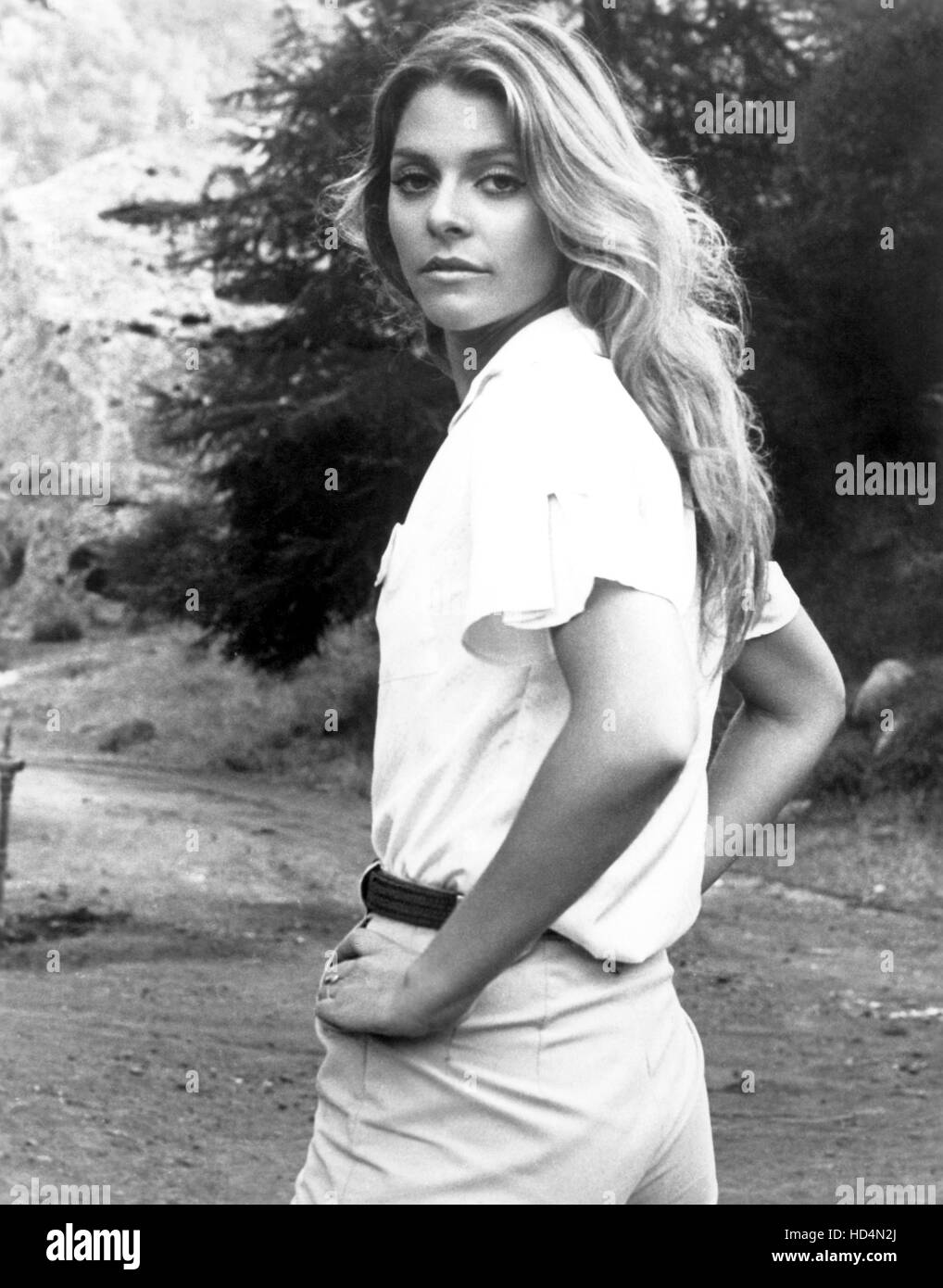 Lindsay wagner the bionic woman High Resolution Stock Photography and ...
