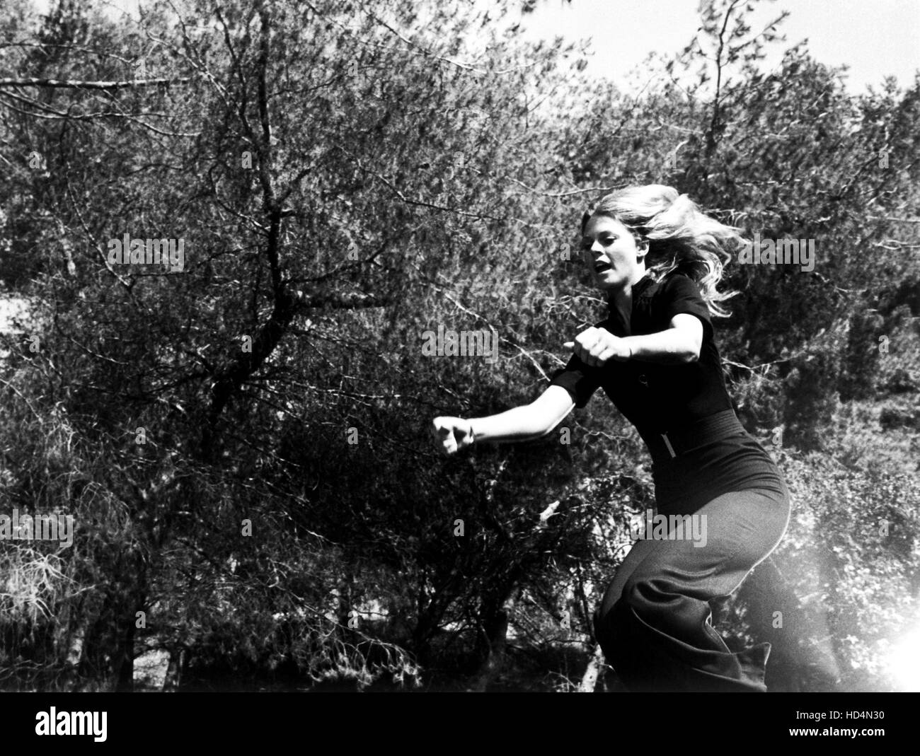 THE BIONIC WOMAN, Lindsay Wagner in 'The Return Of Bigfoot: Part II ...