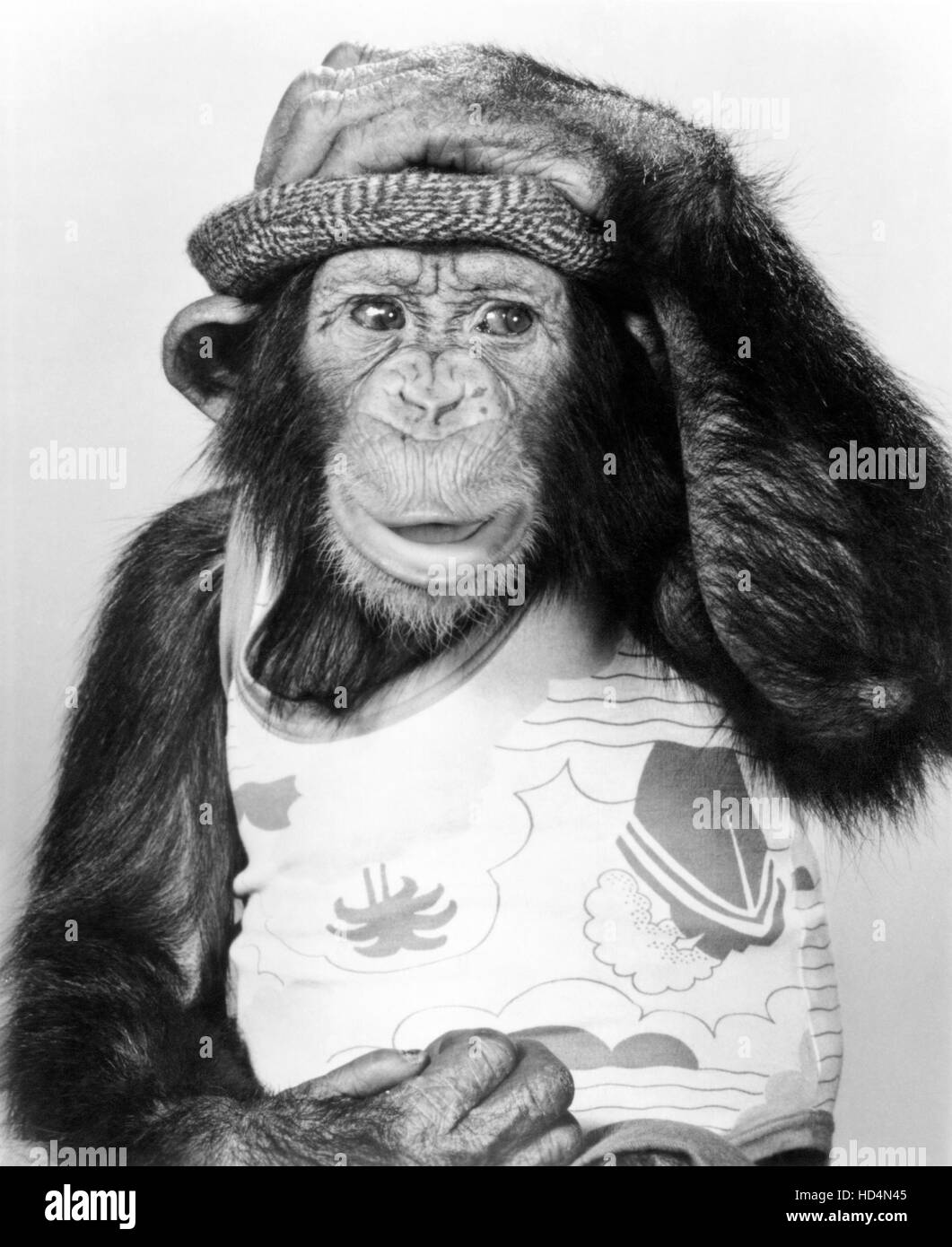 B.J. AND THE BEAR, 'the Bear', (Season 1), 1979-81. © Universal ...