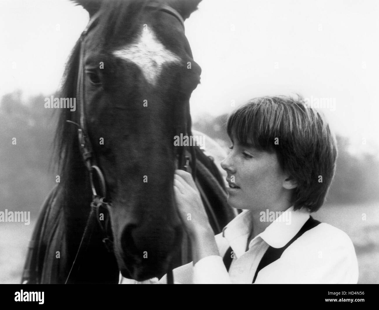 BLACK BEAUTY, from left: Black Beauty, Ike Eisenmann, 1978 Stock Photo ...