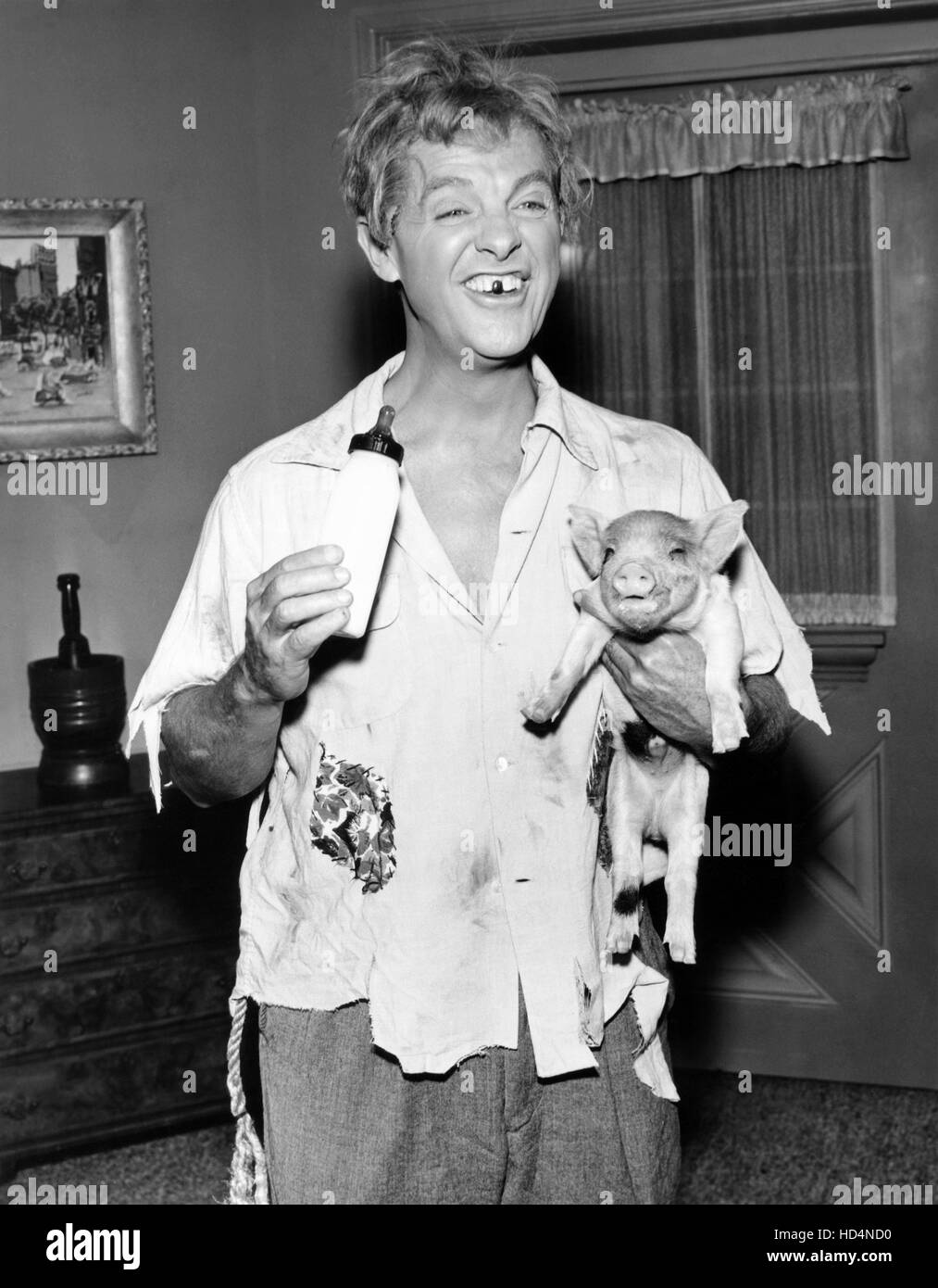 THE BOB CUMMINGS SHOW, (aka LOVE THAT BOB), Robert Cummings, 1955-1959 ...