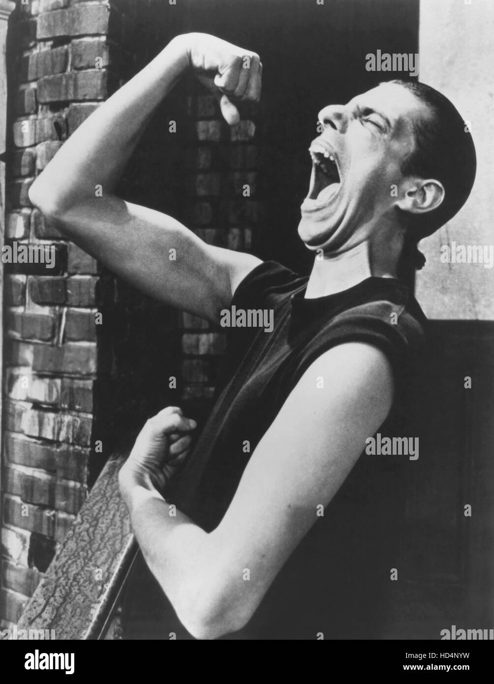 BOWZER!, Jon Bauman, 1981 Stock Photo - Alamy