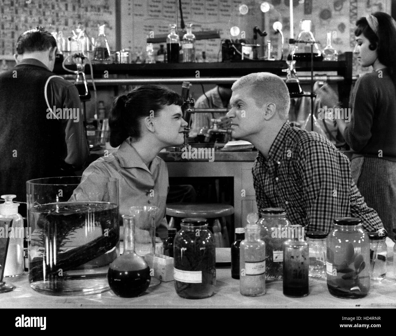 DOBIE GILLIS, Sheila James, Dwayne Hickman, 1959-1963, "Chicken From ...