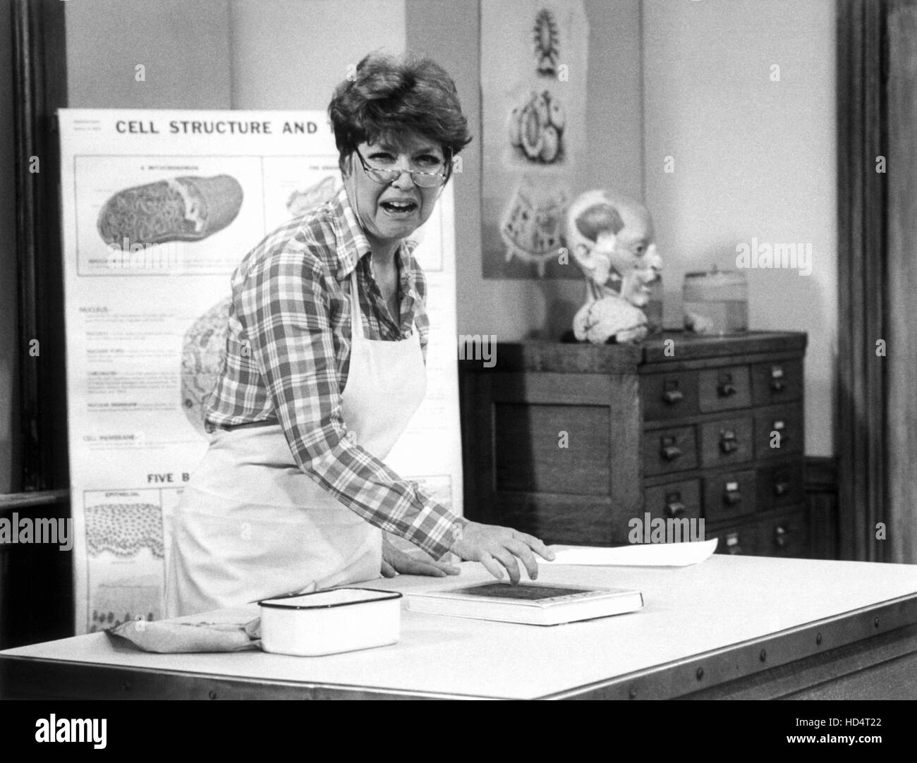 DOROTHY, Dorothy Loudon, 1979 Stock Photo - Alamy