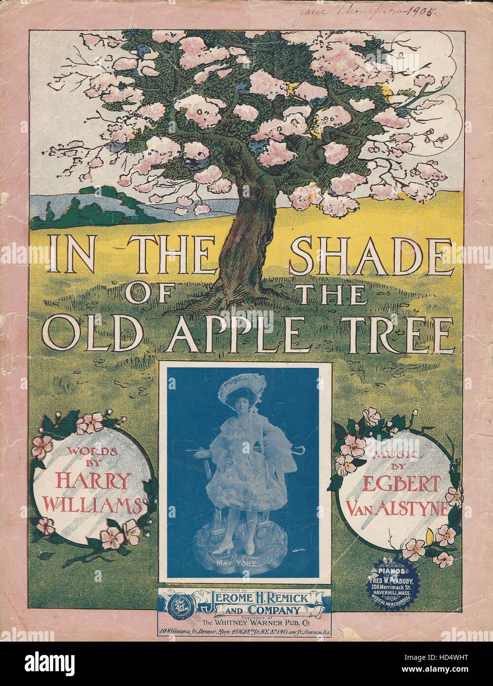 Tree line in popular hi-res stock photography and images - Alamy