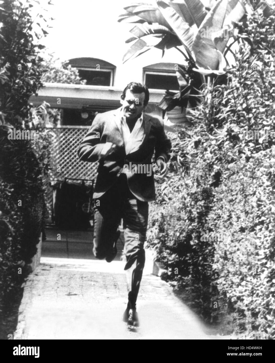 THE FUGITIVE, David Janssen, 1963-67 Stock Photo - Alamy