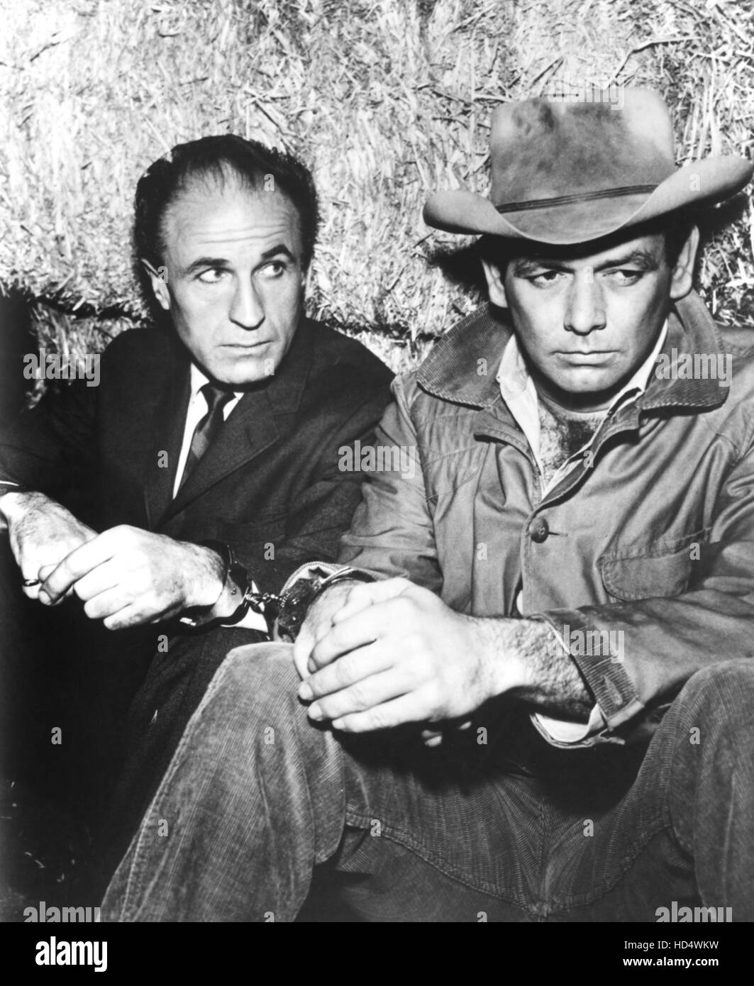 THE FUGITIVE, Barry Morse, David Janssen, 1963-67 Stock Photo - Alamy