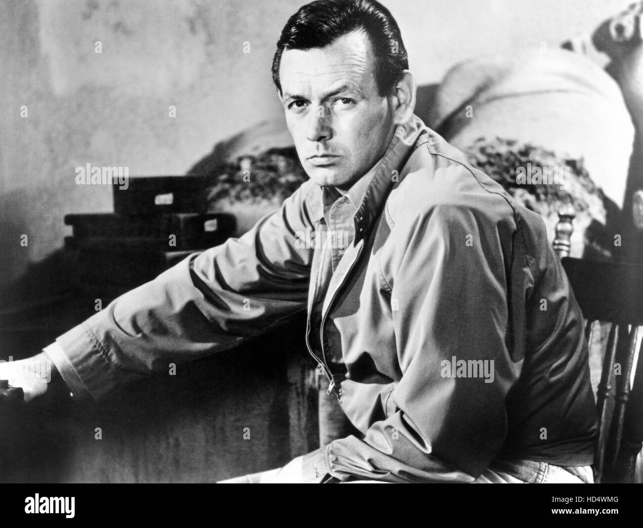 THE FUGITIVE, David Janssen, 1963-67 Stock Photo - Alamy