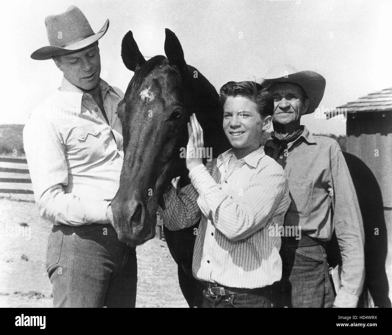 FURY, Peter Graves, Bobby Diamond, William Fawcett, 1955-60 Stock Photo ...