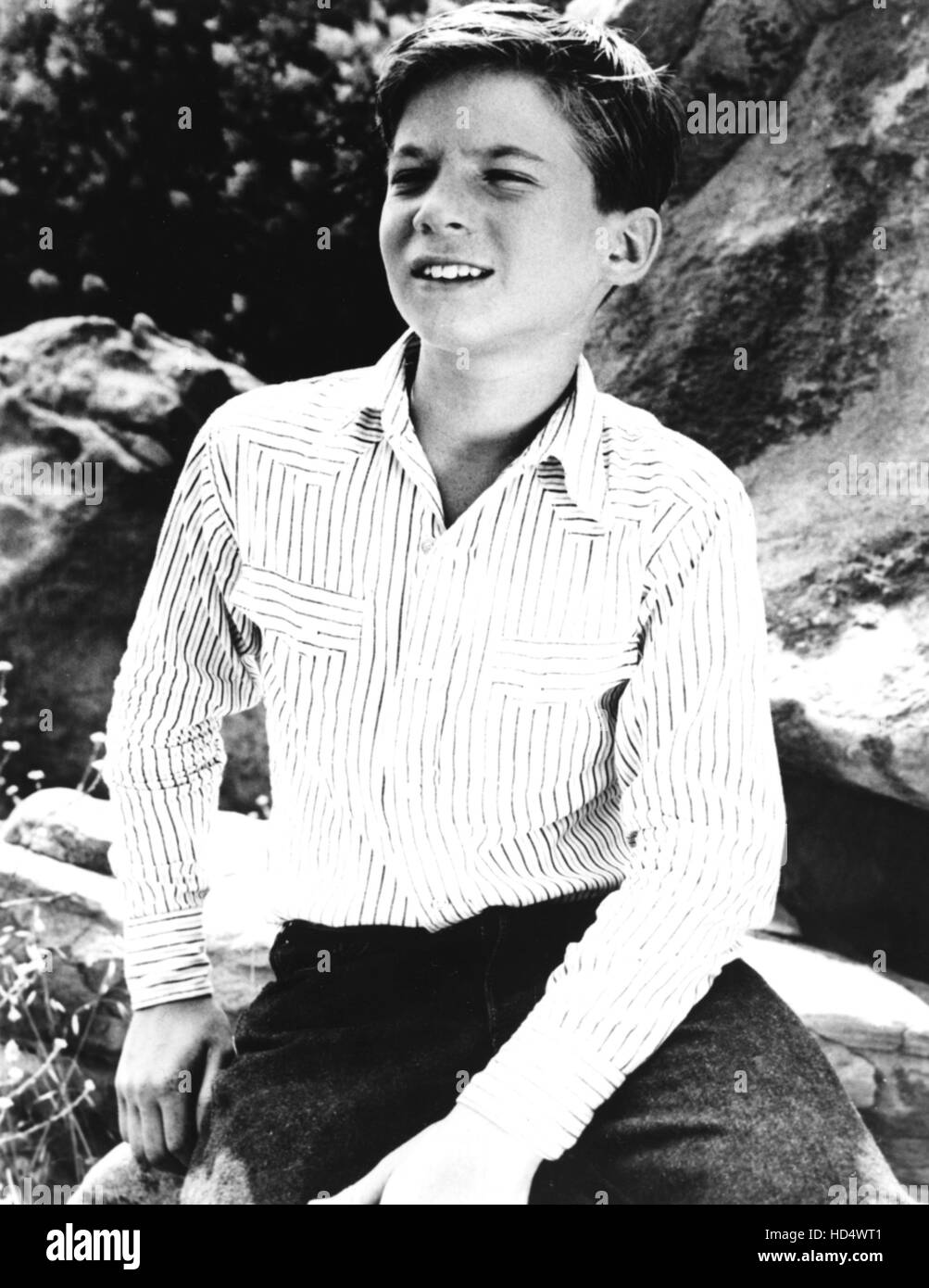 FURY, Bobby Diamond, 1955-1960 Stock Photo - Alamy