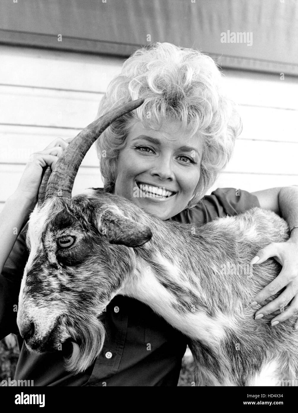 GENTLE BEN, Beth Brickell, 1967-69 Stock Photo - Alamy