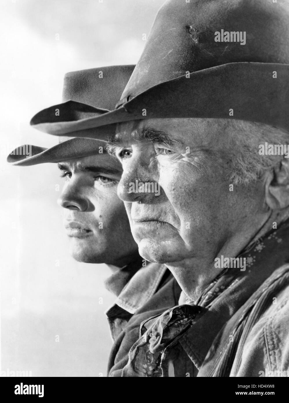 The Guns Of Will Sonnett