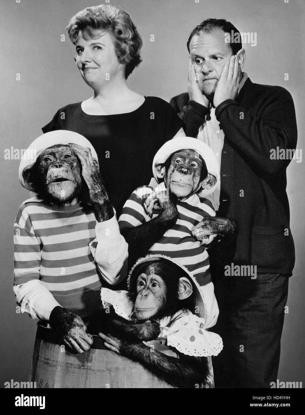 Jack Weston Tv Shows 60 Photos - Moonagedaydream.film