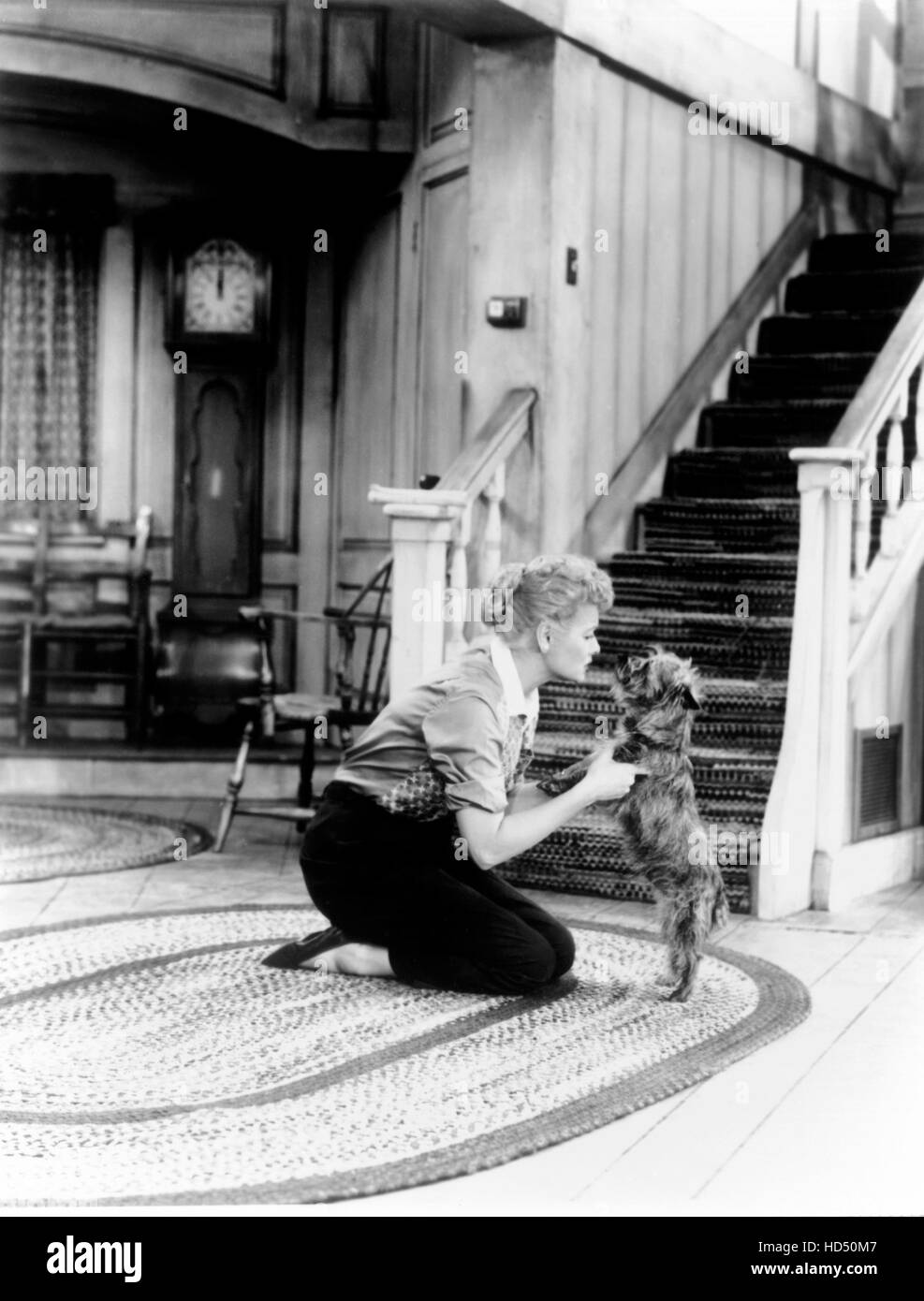 I LOVE LUCY, (from left): Lucille Ball, Fred the dog, 1951-57 Stock ...