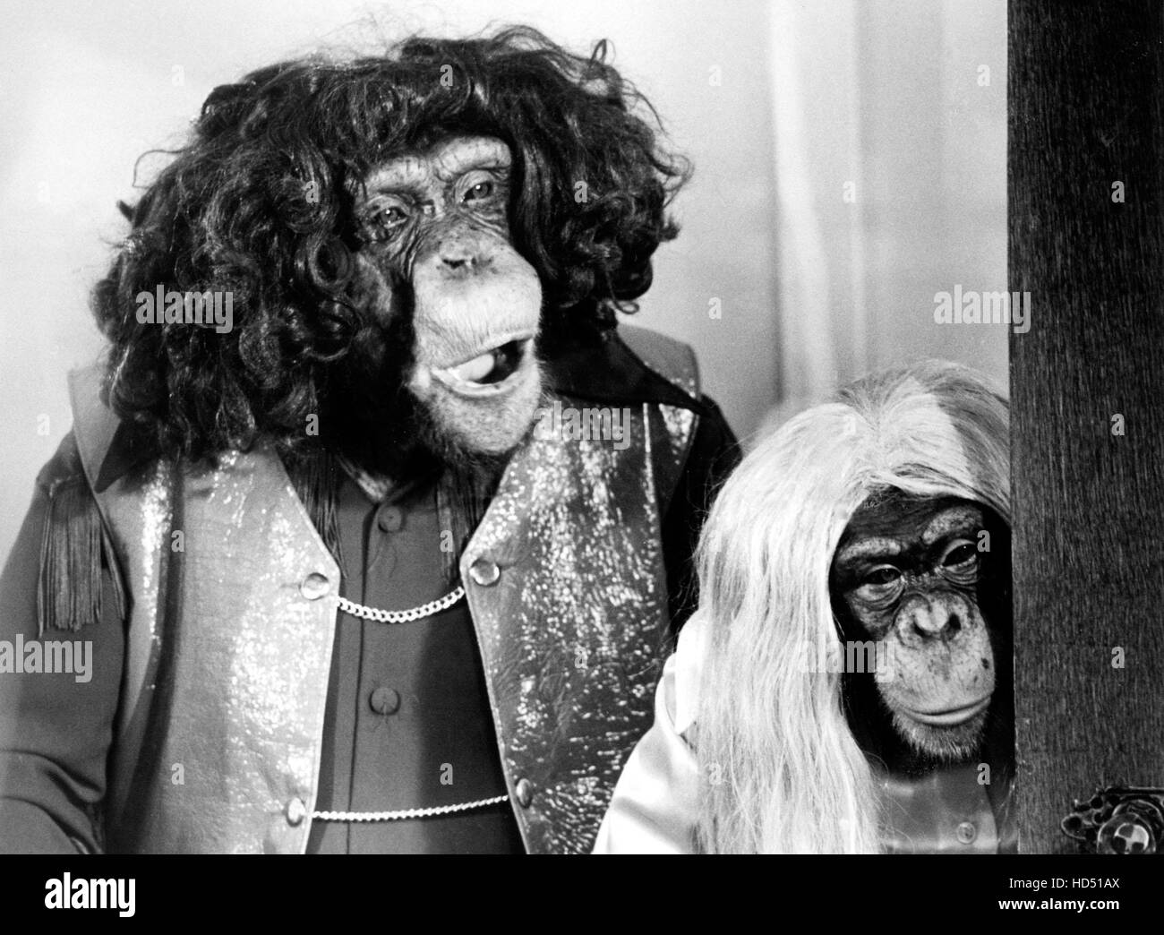 LANCELOT LINK, SECRET CHIMP HOUR, Mata Hairi & Member of the Evolution ...