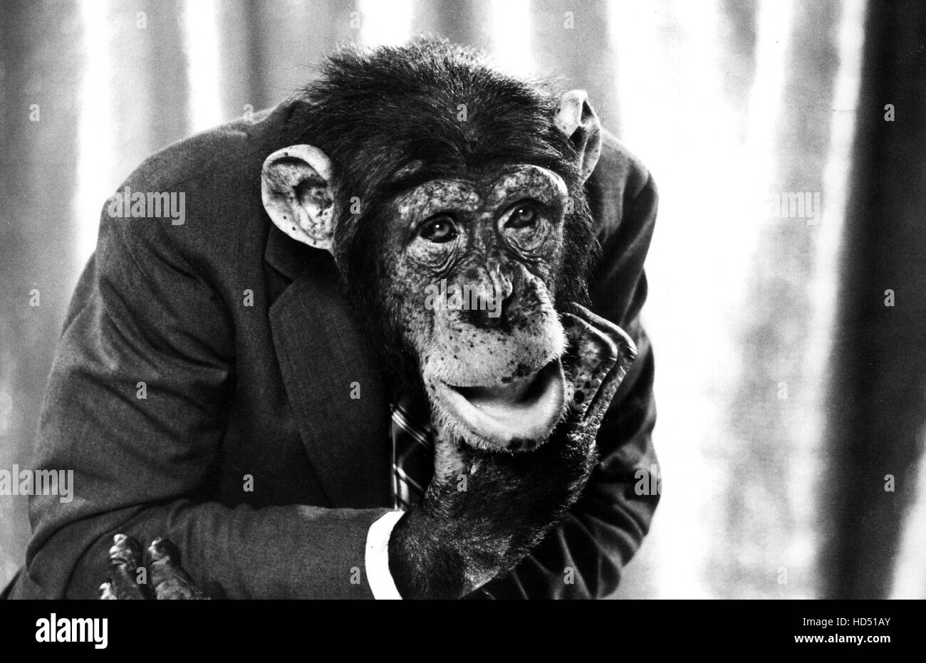 LANCELOT LINK, SECRET CHIMP HOUR, Lancelot Link, 1970 Stock Photo - Alamy