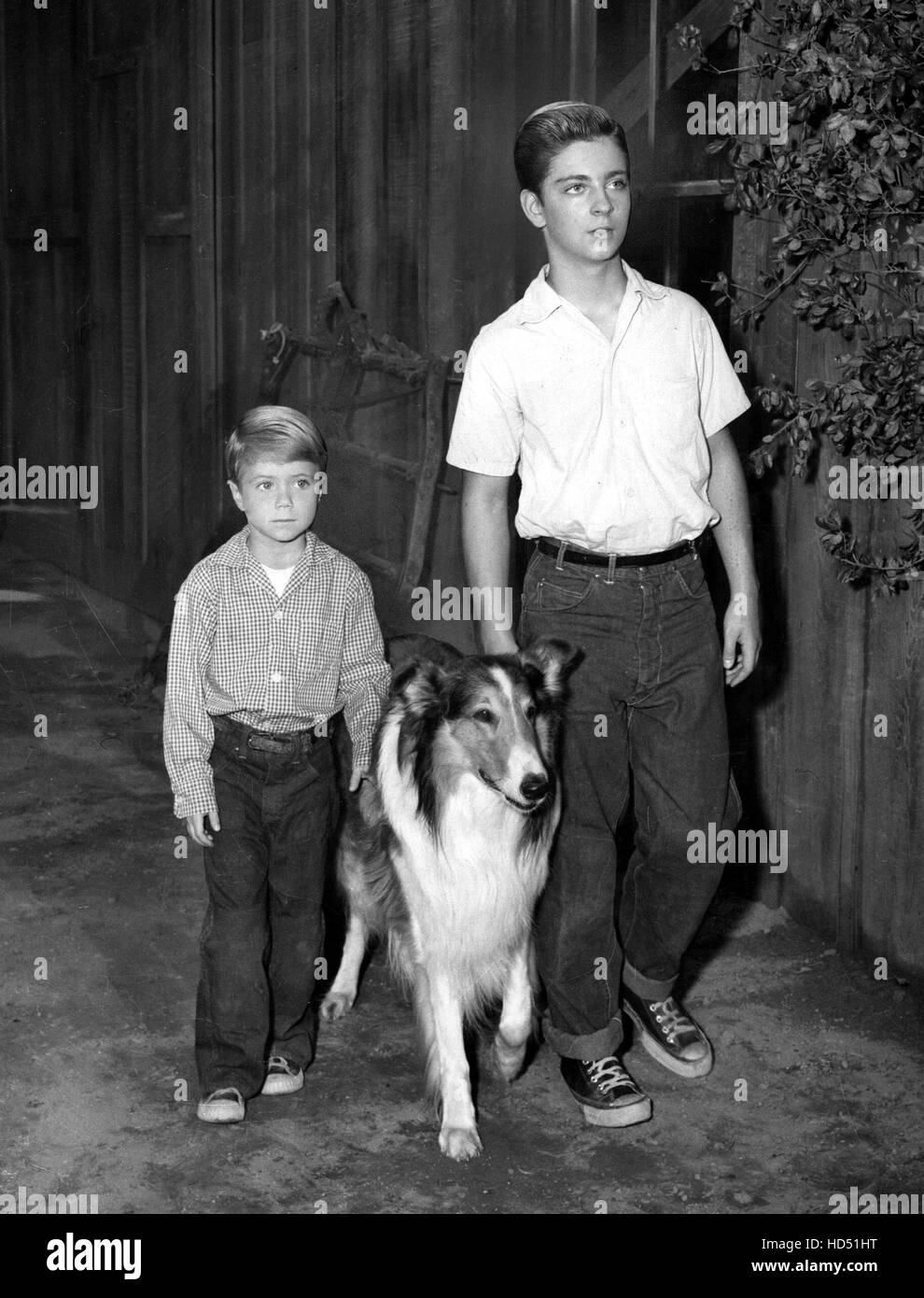 LASSIE, Jon Provost, Lassie, Tommy Rettig, 1954-74 Stock Photo - Alamy