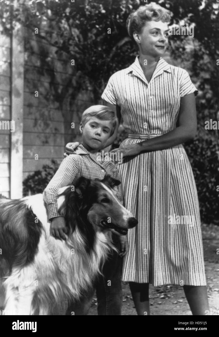 LASSIE, Lassie, Jon Provost, June Lockhart, 1954-74 Stock Photo - Alamy