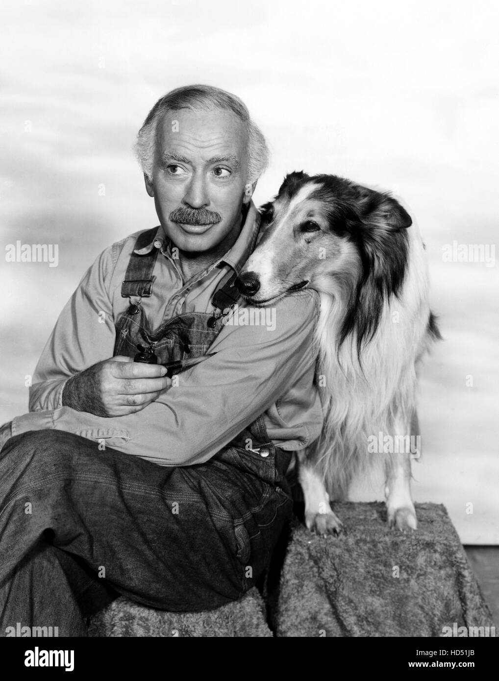 LASSIE, George Chandler, Lassie, 1954-74 Stock Photo - Alamy