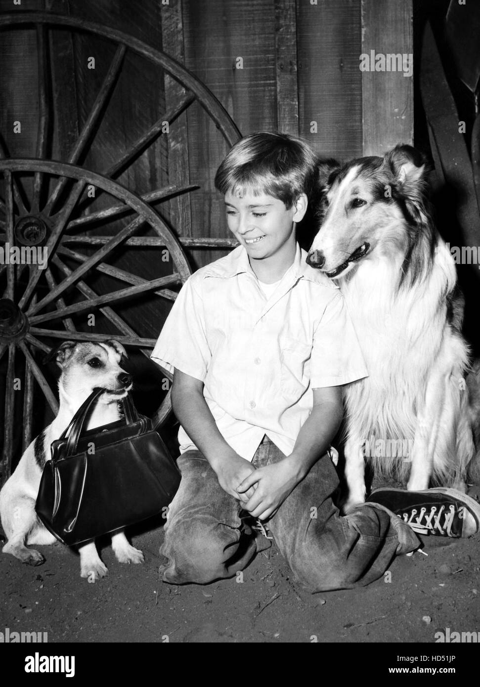 LASSIE, Tommy Rettig, Lassie, 'The Clown' (Season 2, aired November 27 ...