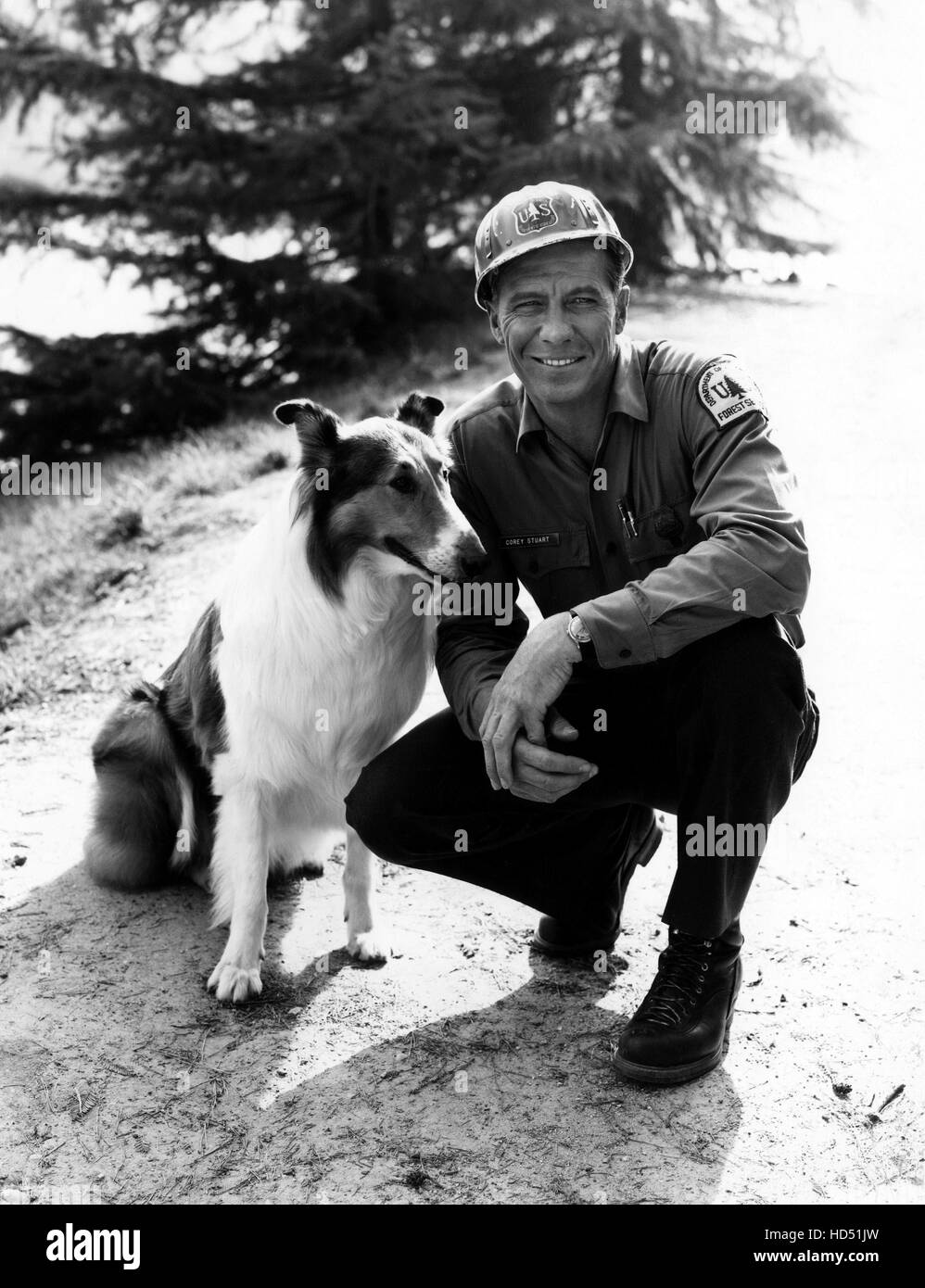 LASSIE, Lassie, Robert Bray (ca. 1965), 1954-74 Stock Photo - Alamy