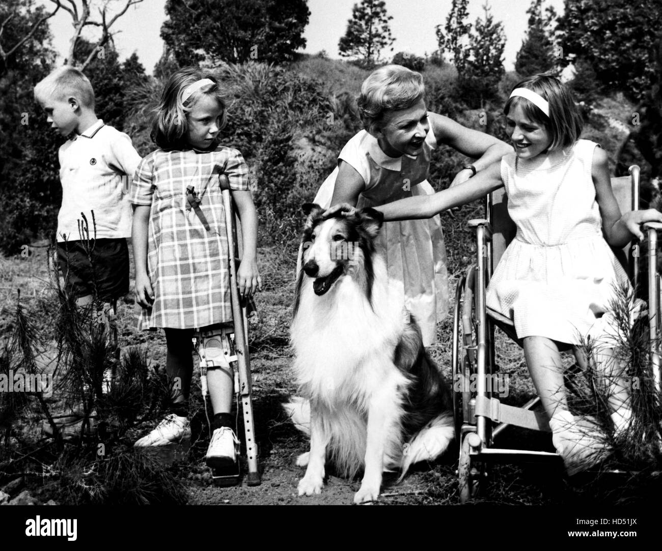 LASSIE, (l-r): Richard Hipp Jr., Linda Willich, Bonita Granville ...