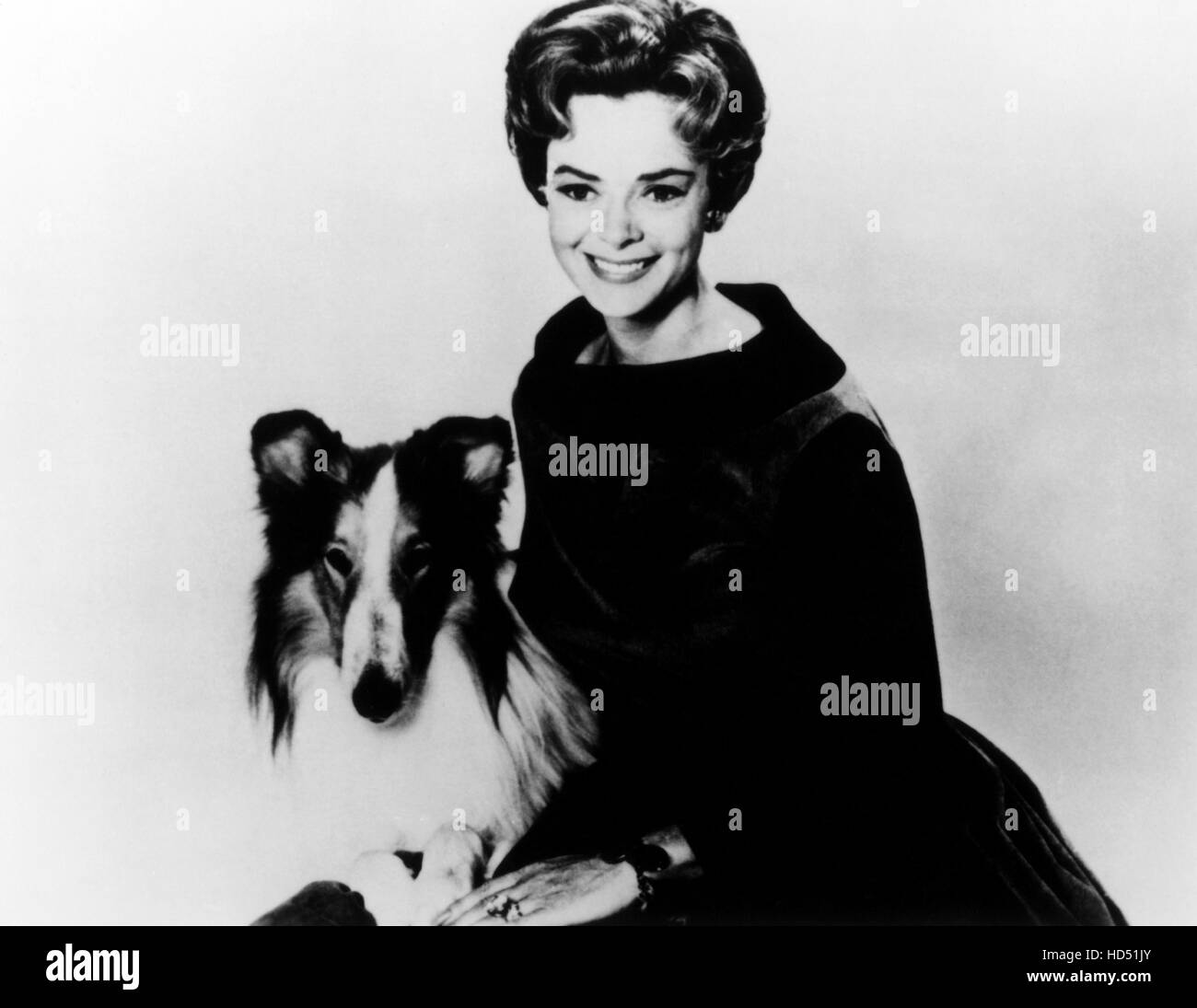 LASSIE, Lassie, June Lockhart, 1954-74 Stock Photo - Alamy