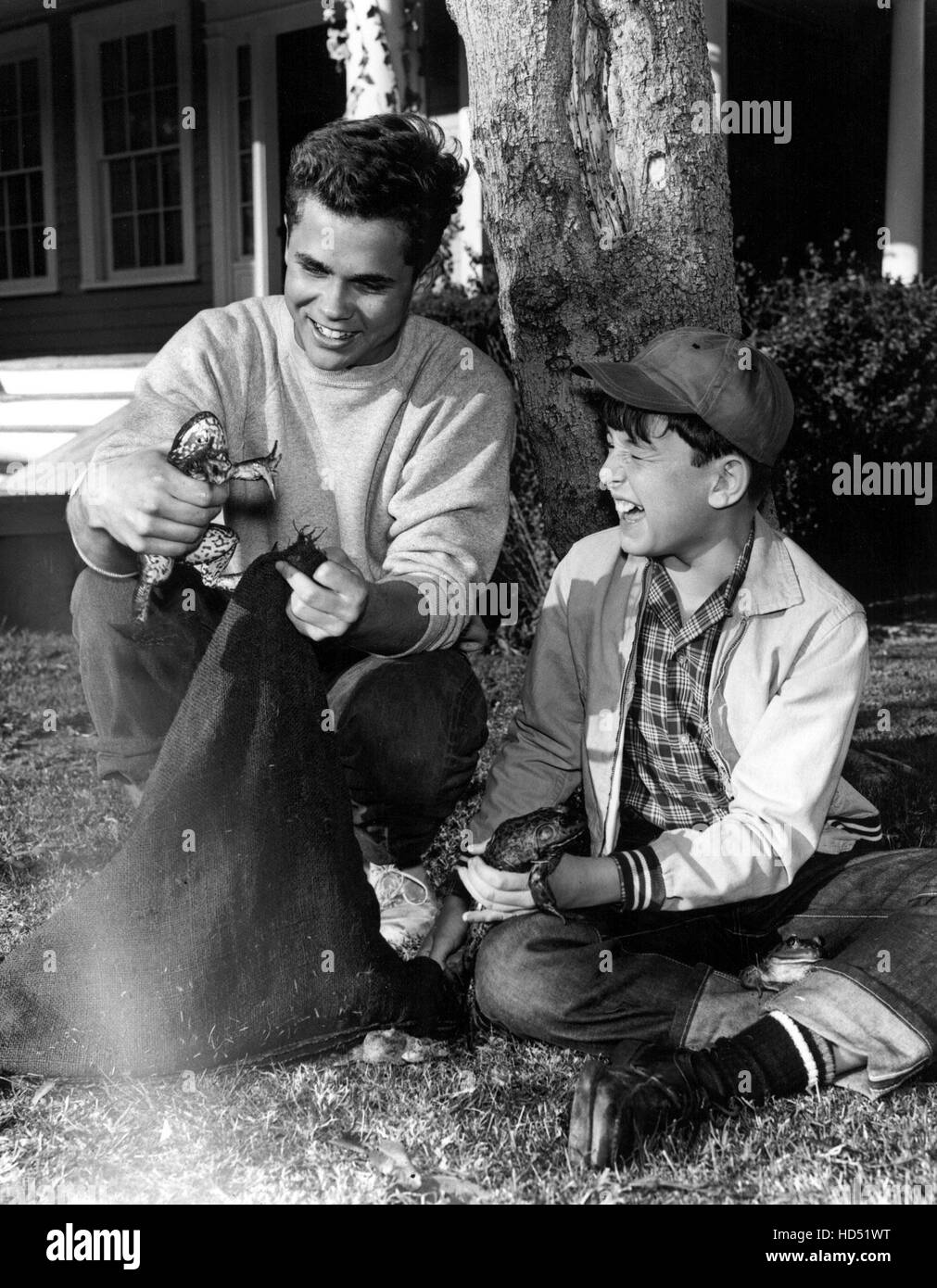 LEAVE IT TO BEAVER, Tony Dow, Jerry Mathers, 1957-63 Stock Photo - Alamy
