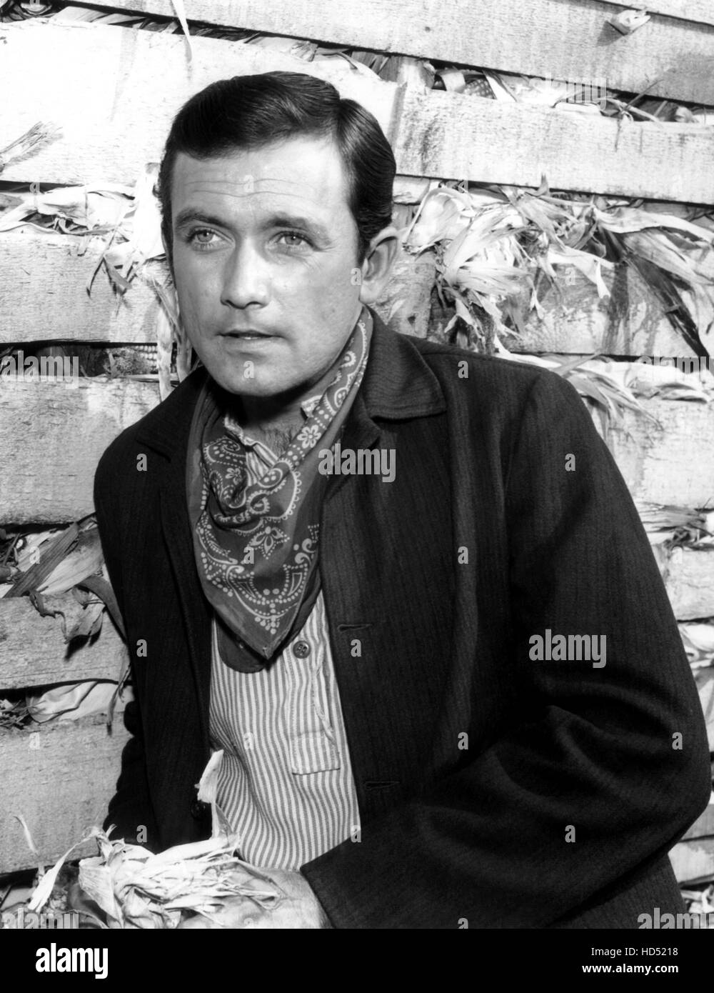 THE LEGEND OF JESSE JAMES, Allen Case, 1965-66 Stock Photo - Alamy