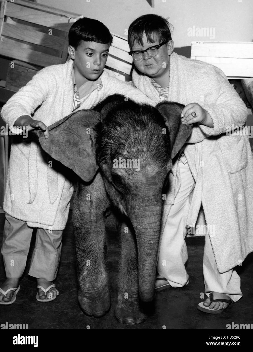 MCKEEVER & THE COLONEL, Scott Lane, Keith Taylor, 'The Mascot', (Season ...