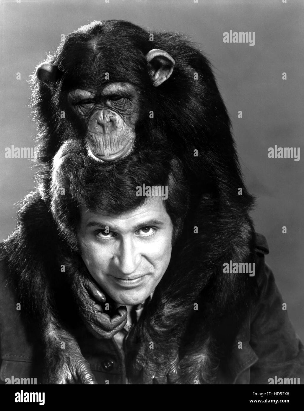 ME AND THE CHIMP, bottom: Ted Bessell, 1972 Stock Photo - Alamy