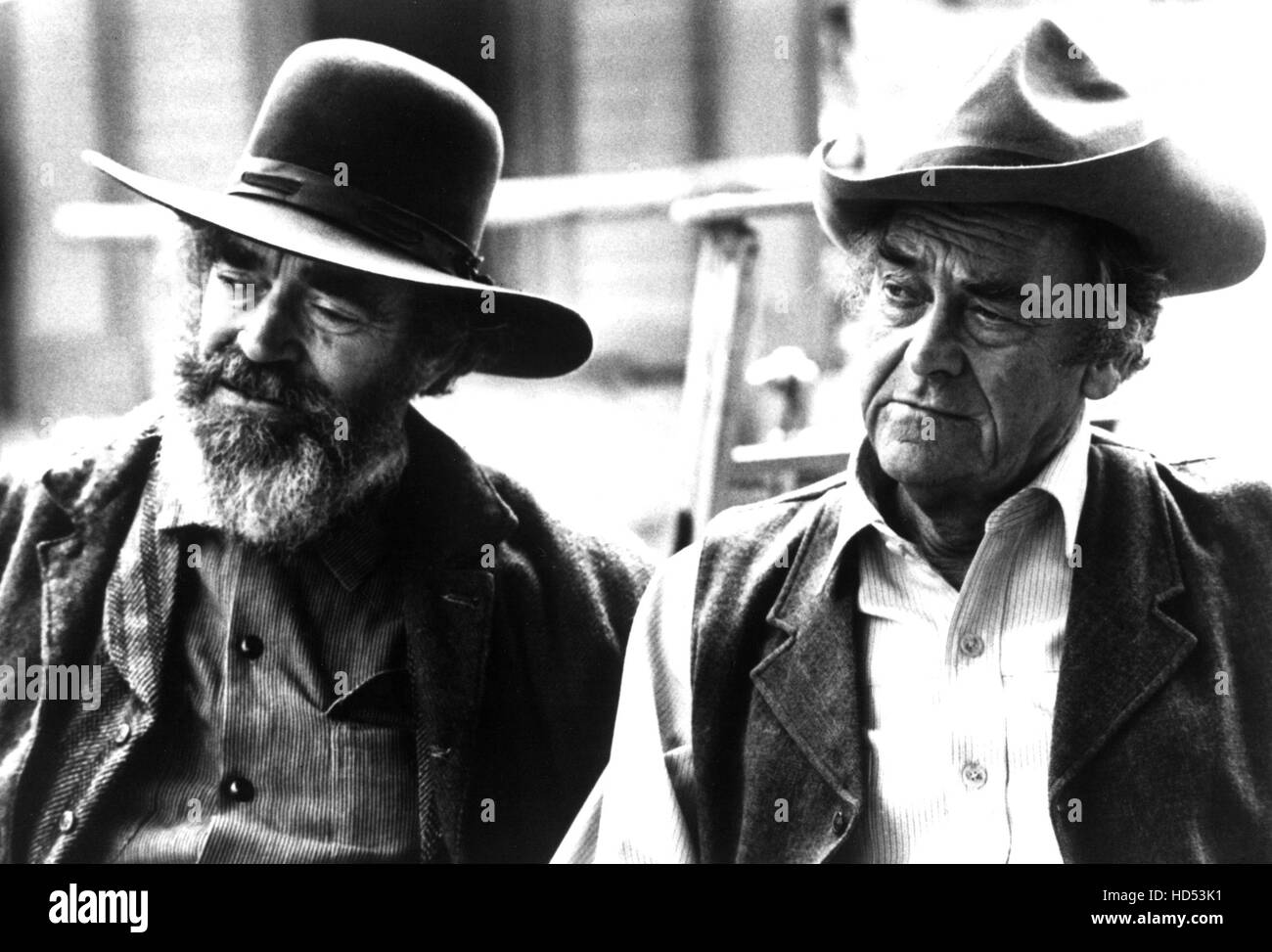 NEW DAUGHTERS OF JOSHUA CABE, THE, Jack Elam, John McIntire, 1976 Stock ...