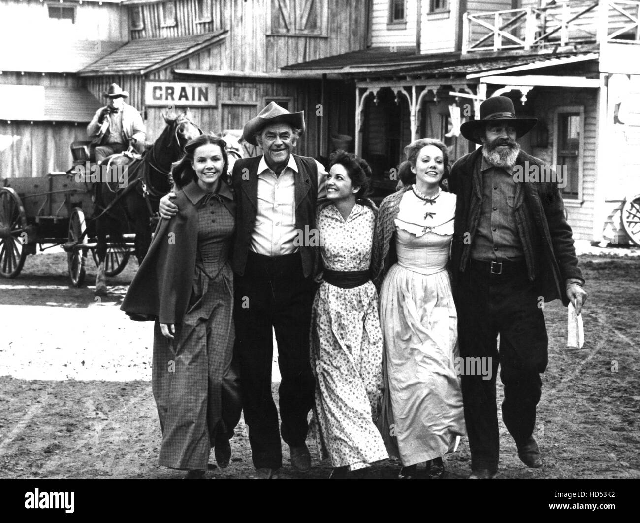 NEW DAUGHTERS OF JOSHUA CABE, THE, Renne Jarrett, John McIntire ...