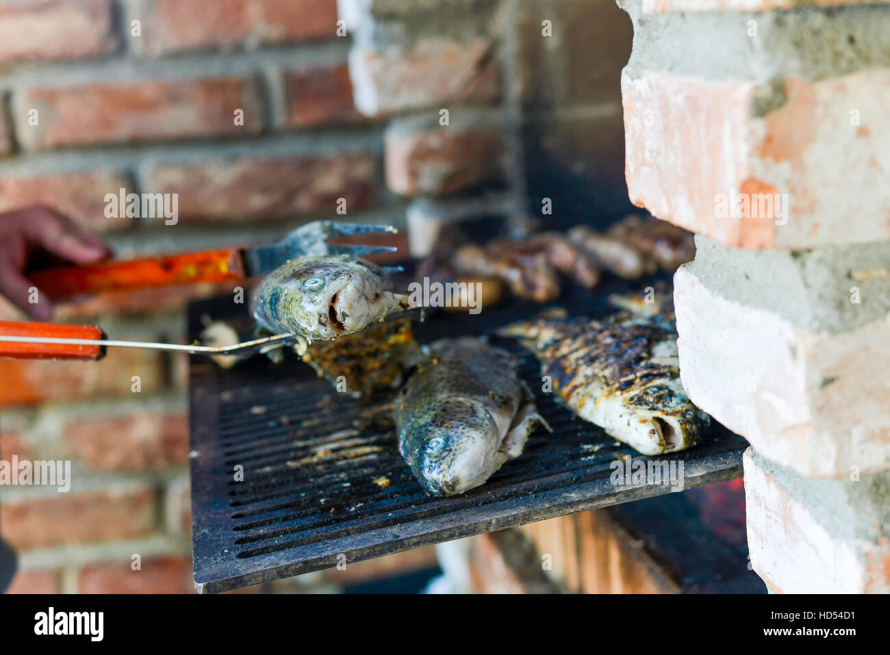 Fish on the grill in natural light Stock Photo - Alamy