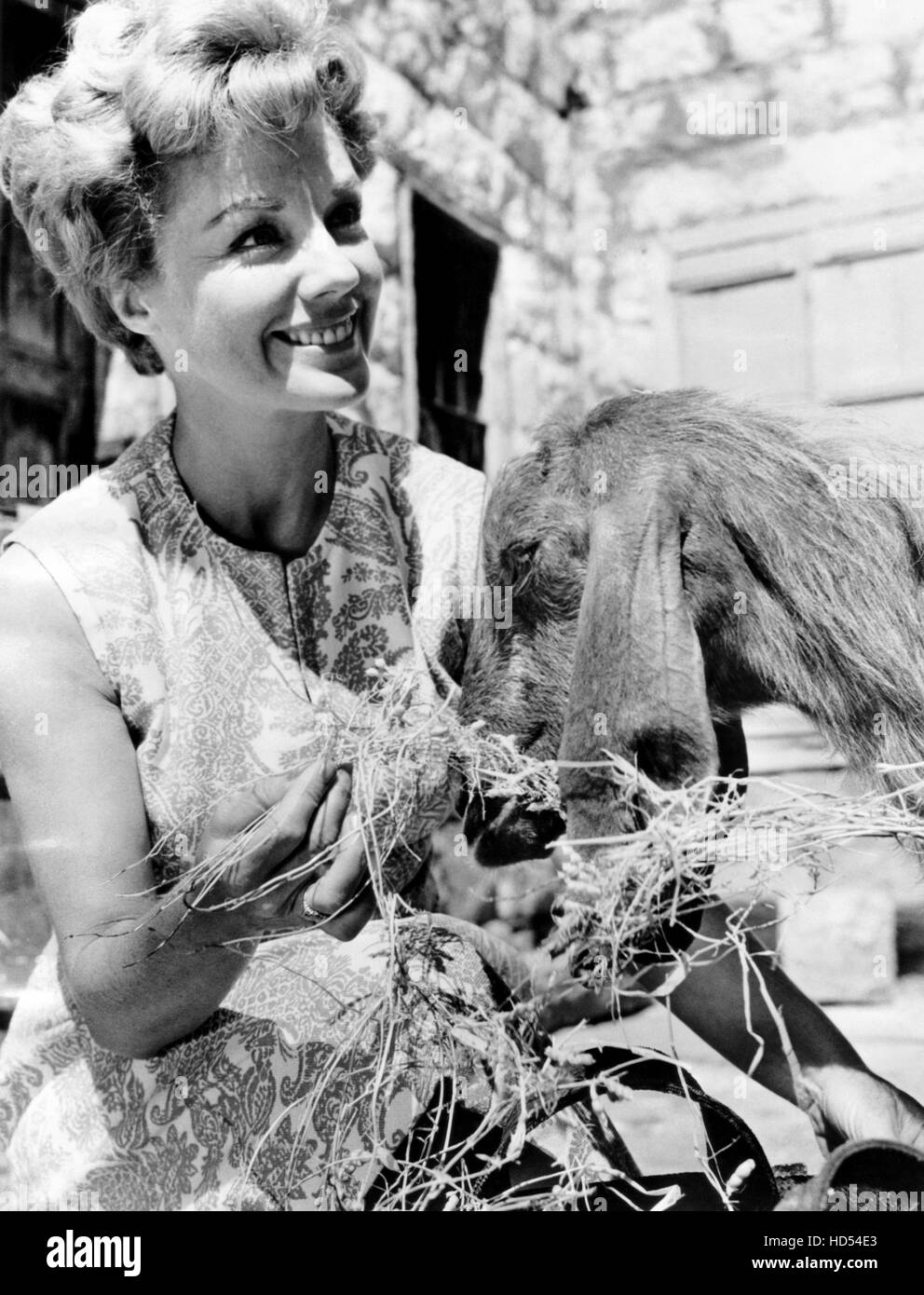 DISCOVERY, Virginia Gibson, 1967 Stock Photo - Alamy