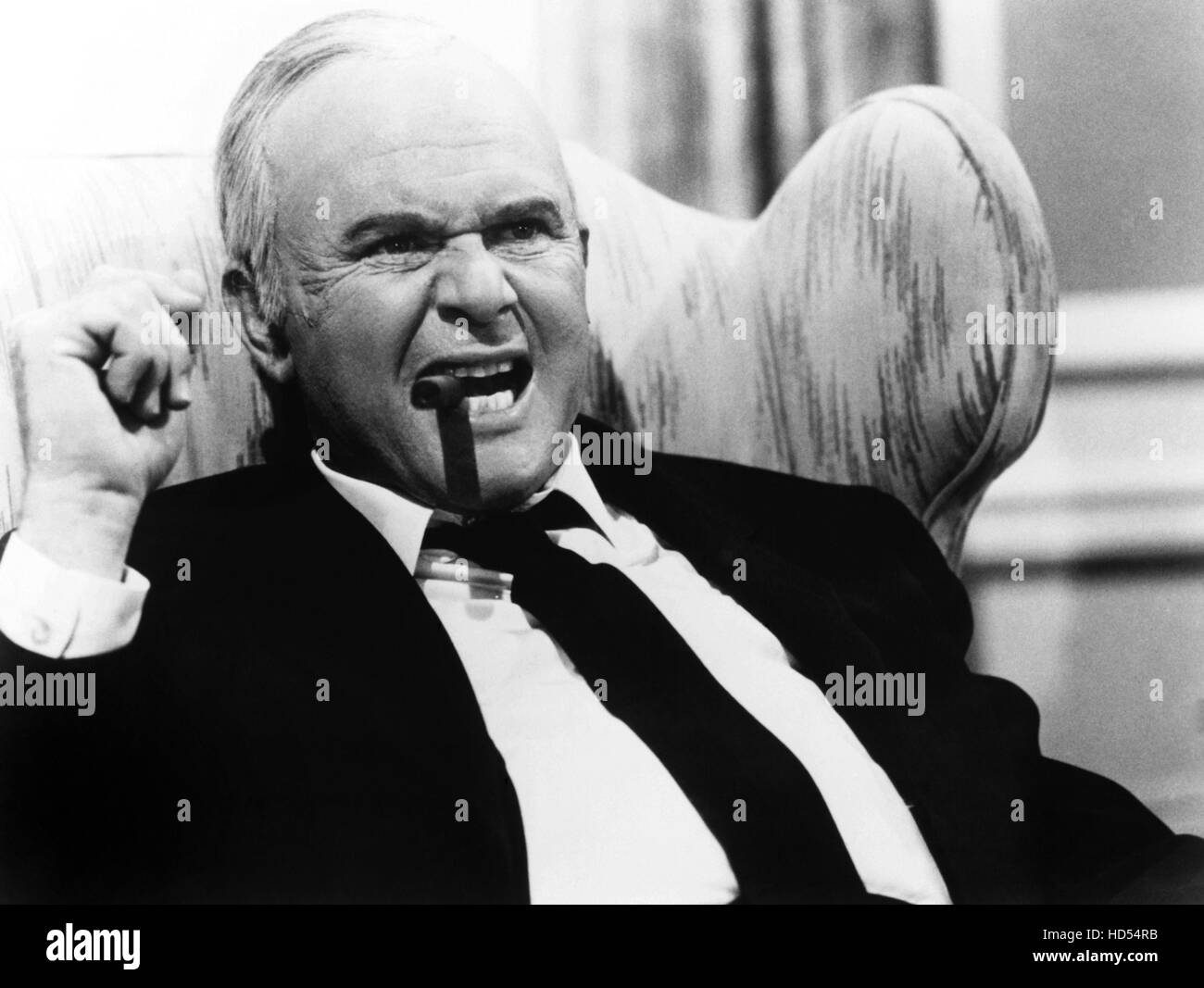 THE DON ADAMS' SCREEN TEST, Martin Milner in 'The Maltese Falcon', 1975 ...