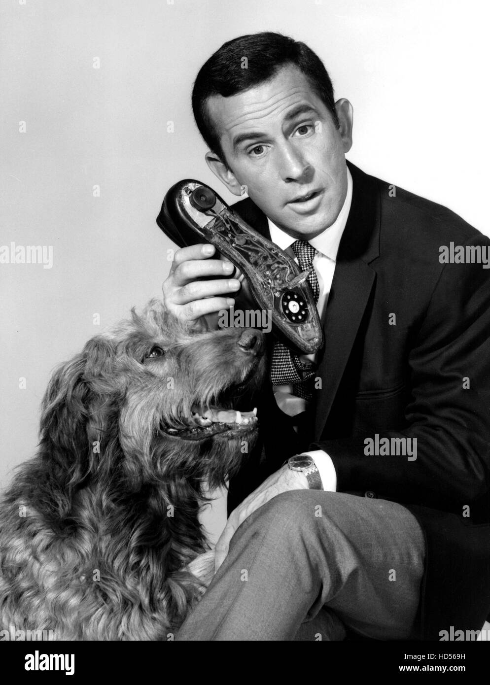 GET SMART, K-9 (Fang), Don Adams, 1965-1970 Stock Photo - Alamy