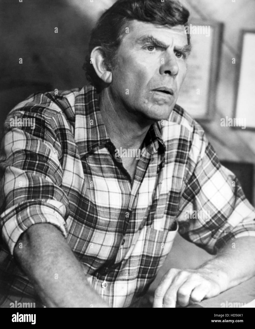 THE GIRL IN THE EMPTY GRAVE, Andy Griffith, 1977 Stock Photo - Alamy