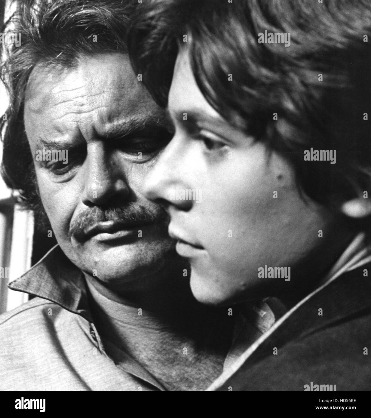 The Glass House Band at Malik Keck blog