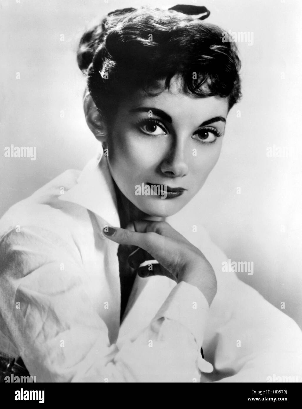 GOLDEN WINDOWS, Leila Martin, 1954 Stock Photo - Alamy