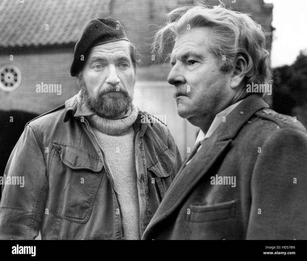GOOSE WITH PEPPER, from left: Nigel Davenport, Kenneth More, 1975 Stock ...