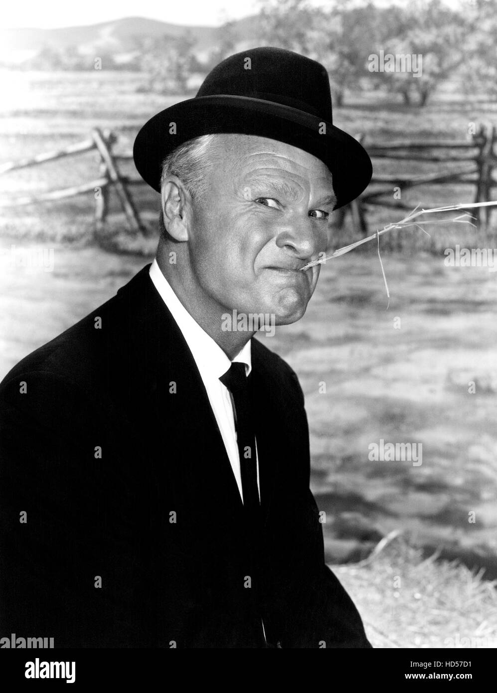 GREEN ACRES, Eddie Albert, 1965-71 Stock Photo - Alamy