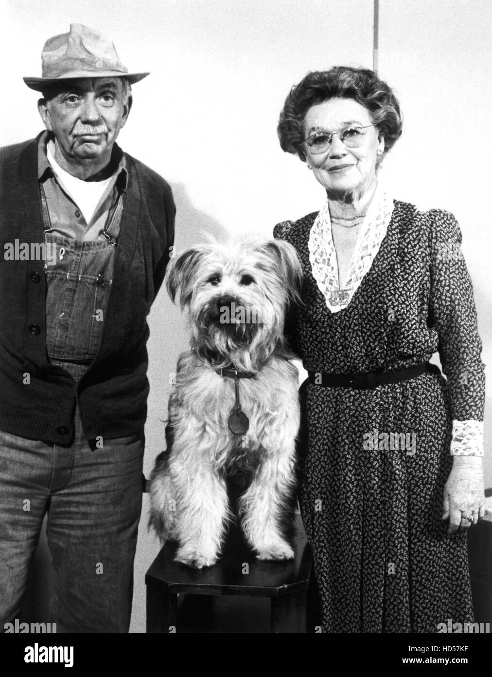 HERE'S BOOMER, (from left): Henry Jones, Johnny the Dog, Jeanette Nolan ...