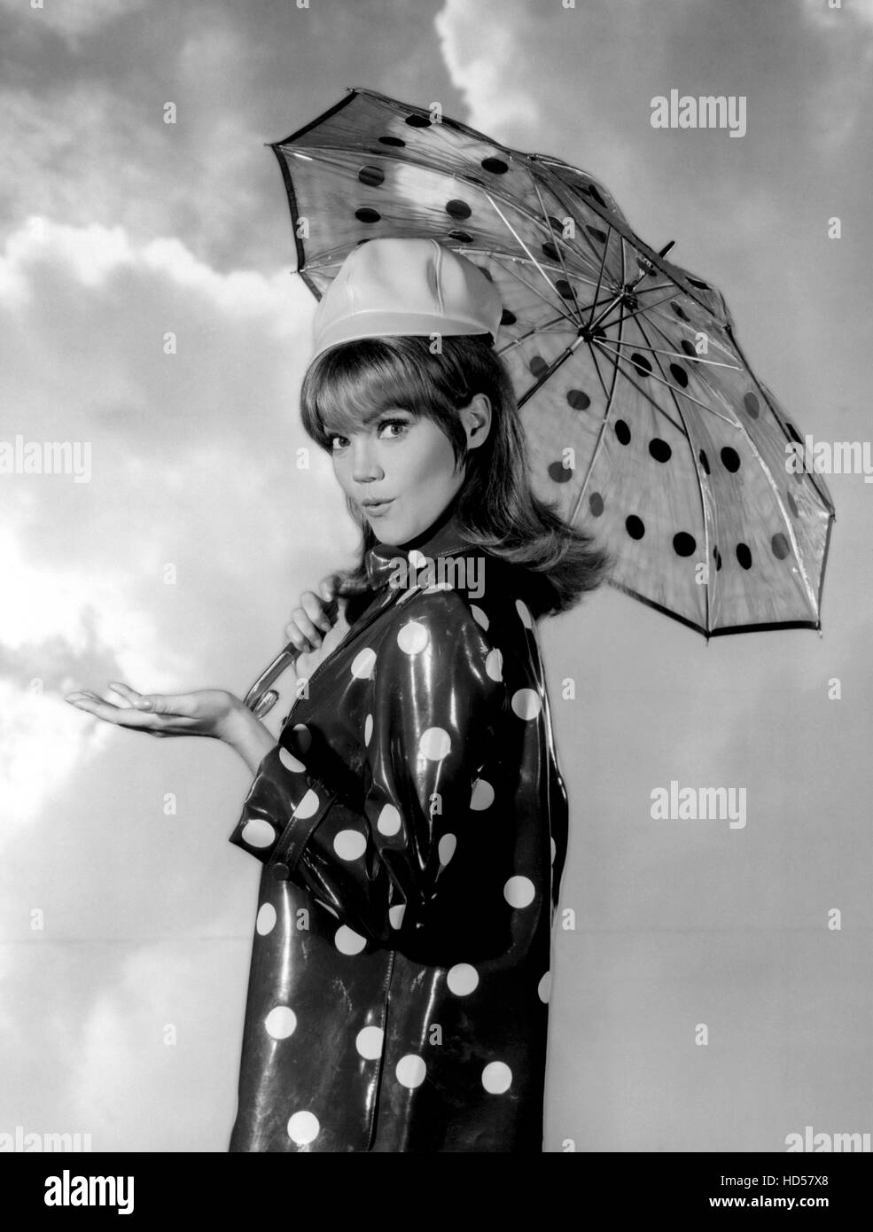 HEY LANDLORD, Pamela Rodgers, 1966-67 Stock Photo - Alamy