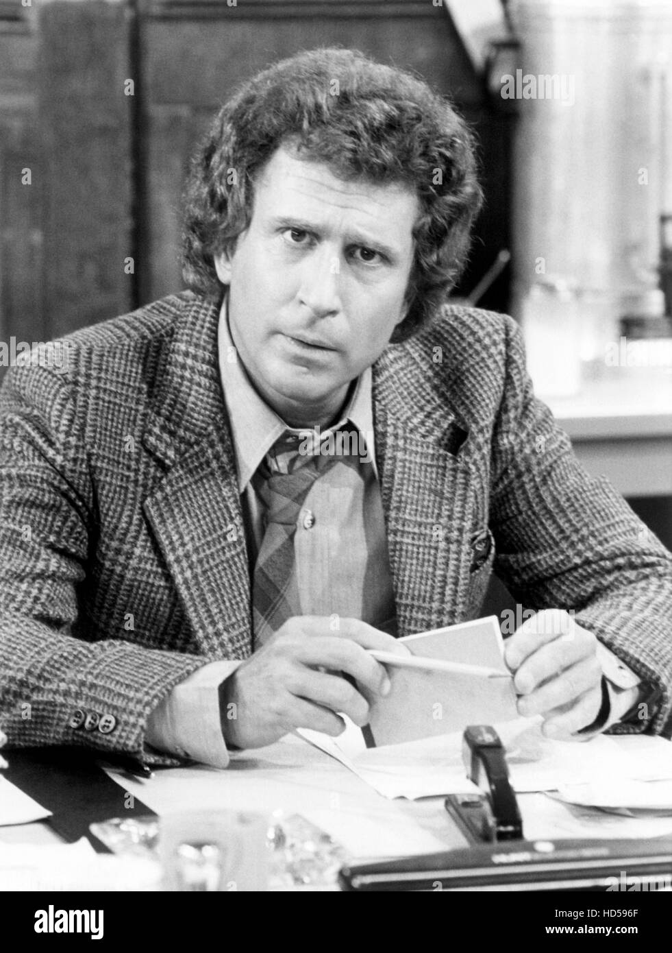 JOE'S WORLD, Ted Bessell, 1979-80 Stock Photo - Alamy