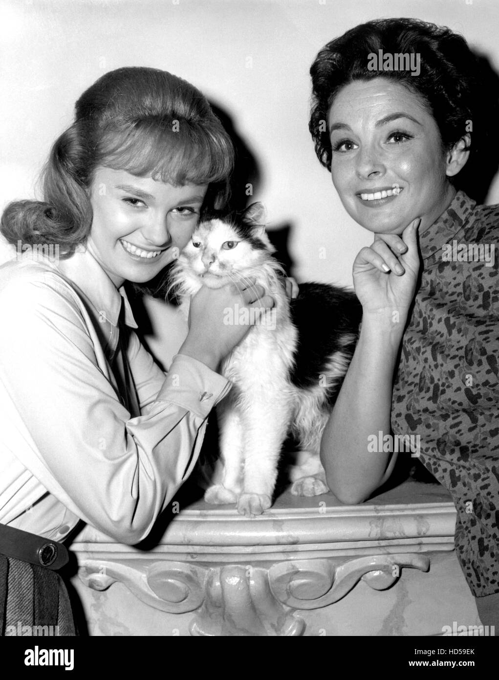 KAREN, (aka 90 BRISTOL COURT), Debbie Watson, Jeanne Bal, 1964-65 Stock Photo - Alamy